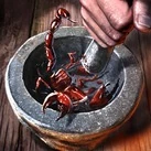 Deadly Poison | Game of Thrones: Ascent Wiki | Fandom