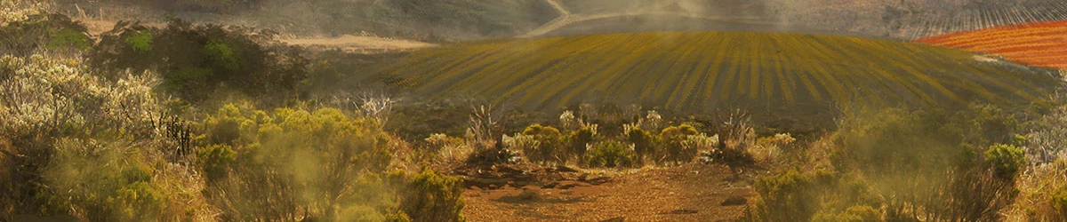 Category:The Reach | Game of Thrones: Ascent Wiki | Fandom