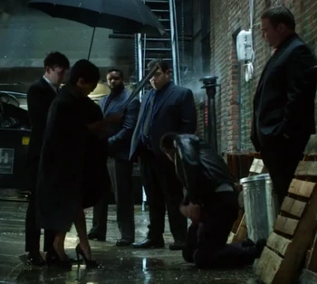 Fish Mooney's gang | Gotham Wiki | Fandom