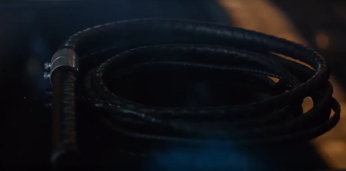 Selina Kyle's whip | Gotham Wiki | Fandom