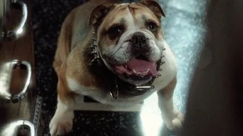 Edward (dog) | Gotham Wiki | Fandom