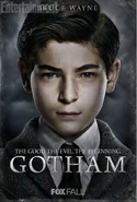 Bruce Wayne | Wiki Gotham | Fandom