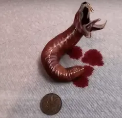 Mutuari Carnis | Paradoxical Separation Wiki | Fandom