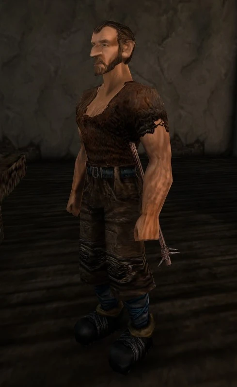 Senyan der Schürfer | Gothic Wiki | Fandom