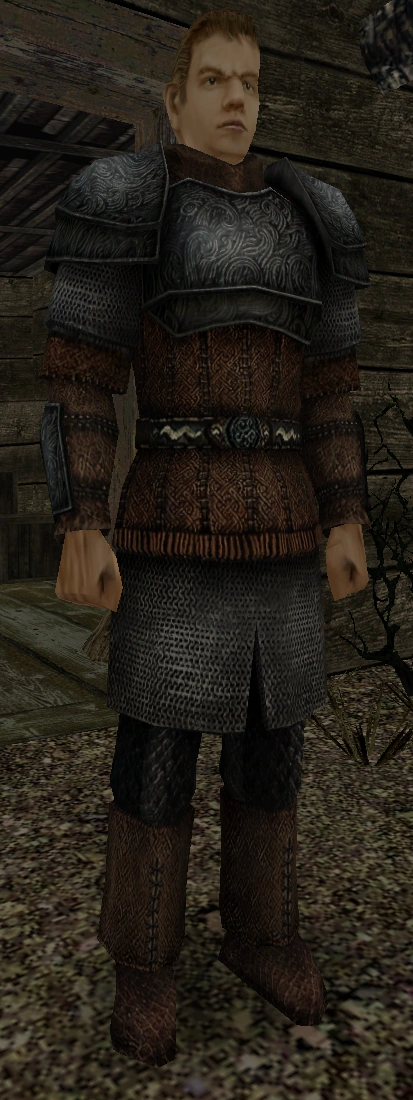 Ciężki pancerz Wodnego Kręgu | Gothicpedia | Fandom