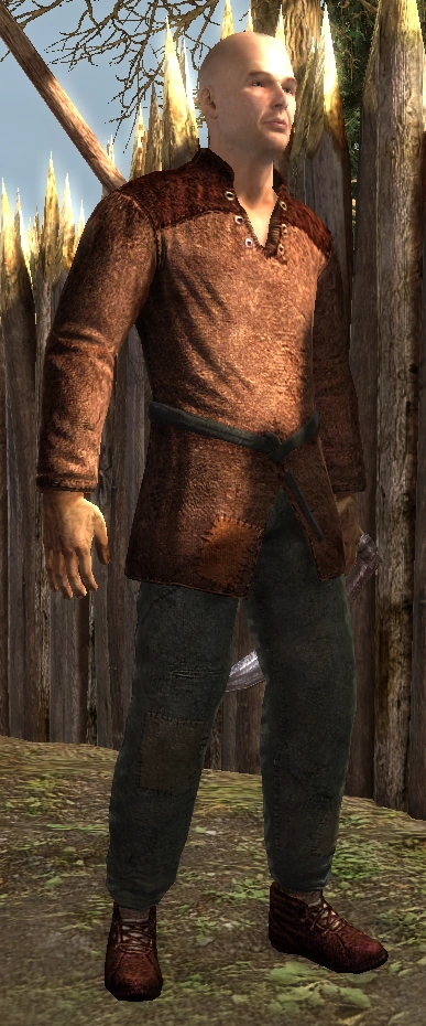 Henk | Gothicpedia | Fandom