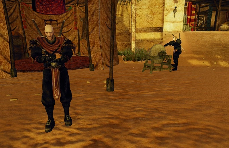 Assassinen | Gothic Wiki | Fandom