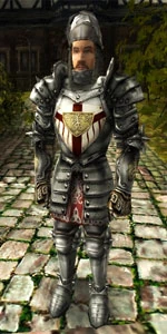 Paladinská zbroj | Gothic Wiki | Fandom