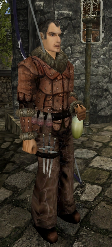 Bartok/Modyfikacje | Gothicpedia | Fandom