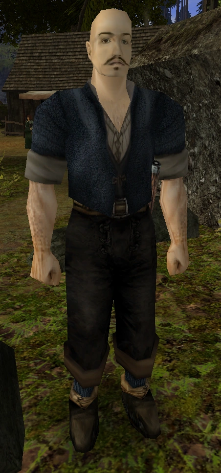 Nek/Modyfikacje | Gothicpedia | Fandom