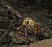 Animals and Monsters (Gothic 1) | Gothic Wiki | Fandom