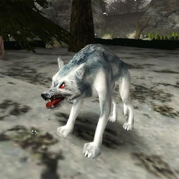 Polární vlk | Gothic Wiki | Fandom