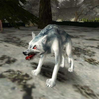 Polární vlk | Gothic Wiki | Fandom