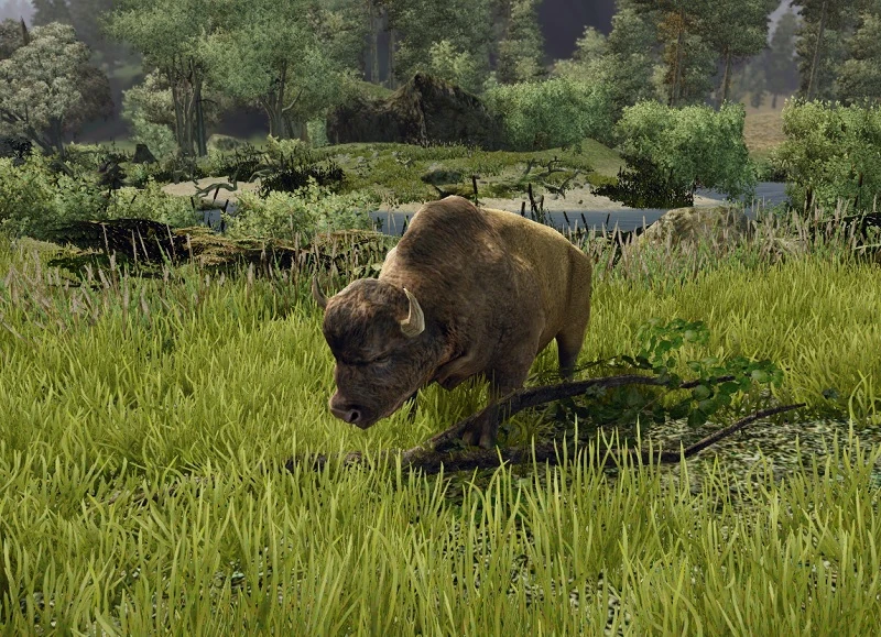 Bisons | Gothic Wiki | Fandom