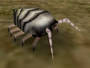 Animals and Monsters (Gothic 1) | Gothic Wiki | Fandom