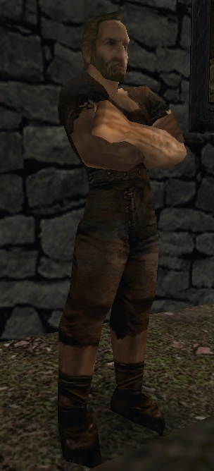 Homer/Modyfikacje | Gothicpedia | Fandom