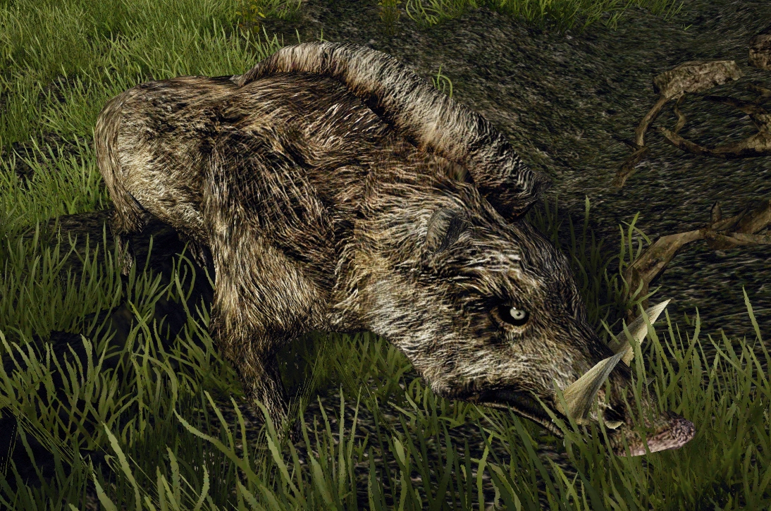 Dzik/Modyfikacje | Gothicpedia | Fandom