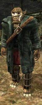 Arokkh | Gothic Wiki | Fandom