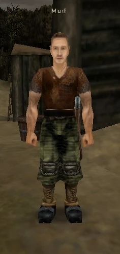 Mud | Gothic Wiki | Fandom