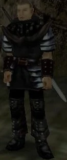 Bard | Gothic Wiki | Fandom