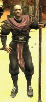 Raid | Gothic Wiki | Fandom