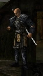 Guardia del corpo di Kalom | Gothic Wiki | Fandom