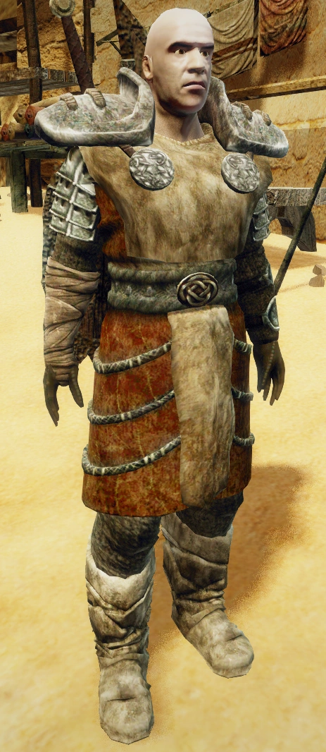 Paladyn (gladiator) | Gothicpedia | Fandom