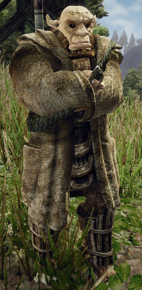 Renegat | Gothicpedia | Fandom