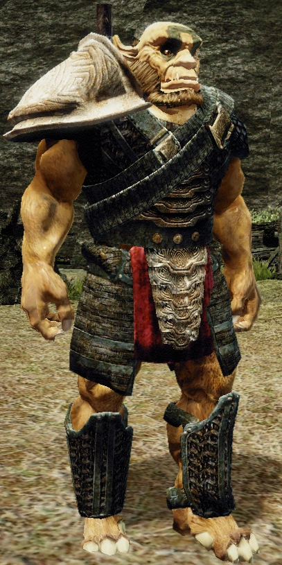 Morg | Gothicpedia | Fandom