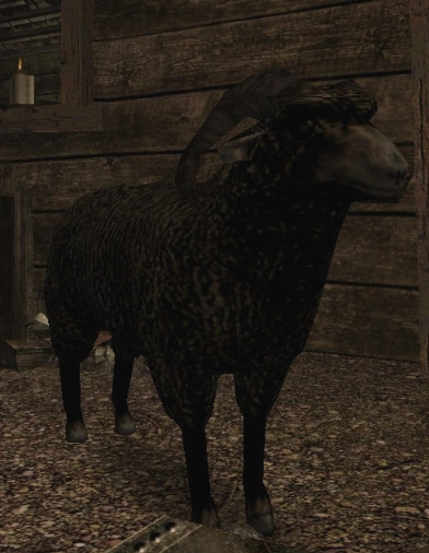 Bruce | Gothicpedia | Fandom