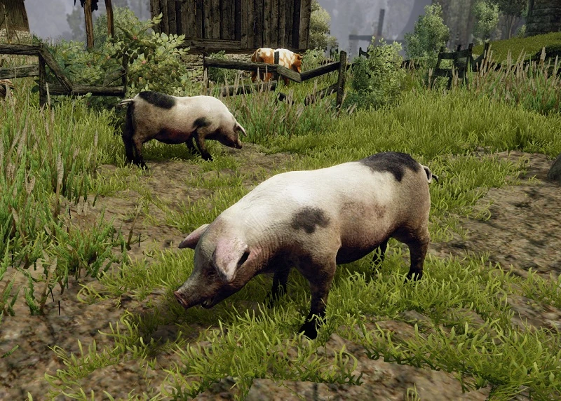 Schweine | Gothic Wiki | Fandom