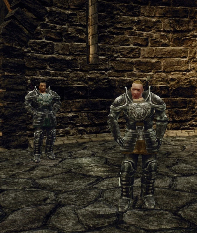 Paladine | Gothic Wiki | Fandom