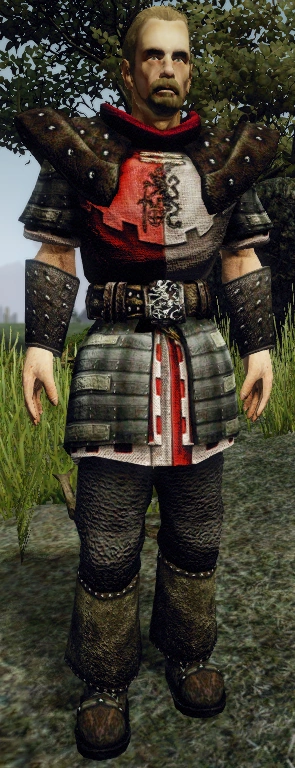 Ciężki pancerz straży/Modyfikacje | Gothicpedia | Fandom