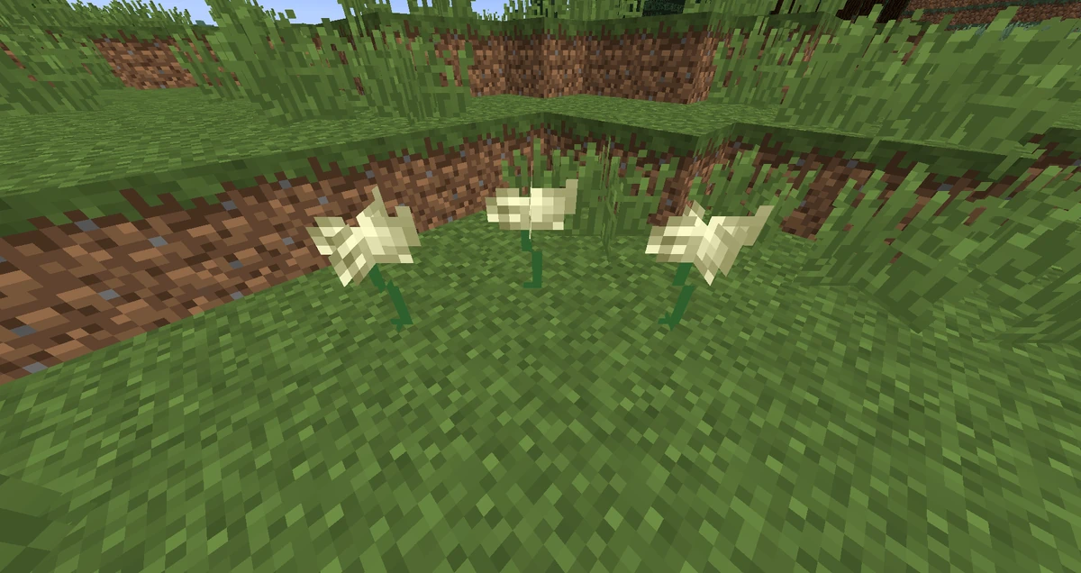 Cauliflowers | Minecraft - Gothic Mod Wiki | Fandom