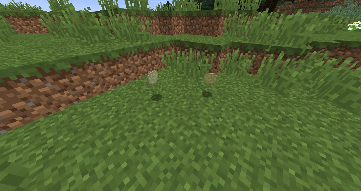 Raw / Cooked Cauliflower | Minecraft - Gothic Mod Wiki | Fandom