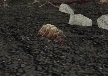 Мясной жук | Gothic WiKi | Fandom