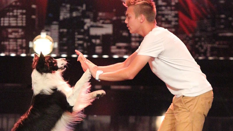 Lukas & Falco | Got Talent Wiki | Fandom