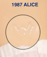 Different Gotz Doll Facial Molds and Neckstamps | Gotz Doll Wiki | Fandom