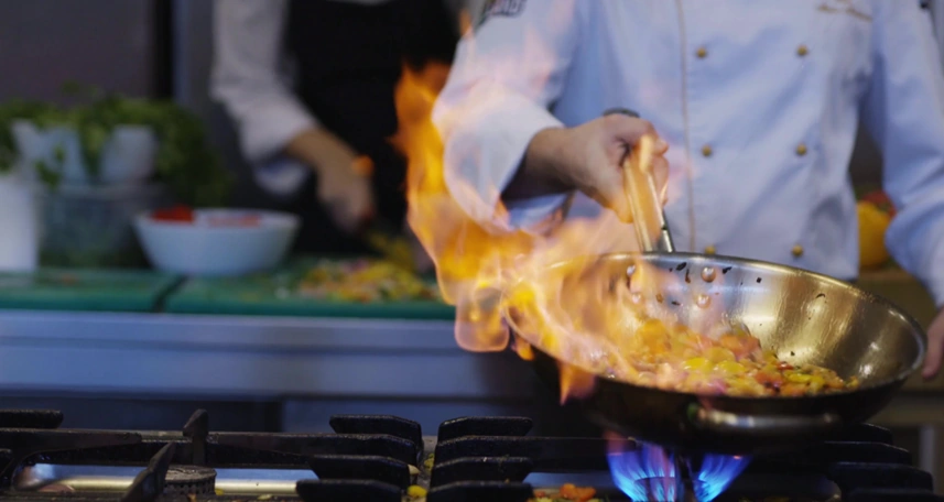 Cooking tips and tutorials | Gourmet Guidebook Wiki | Fandom