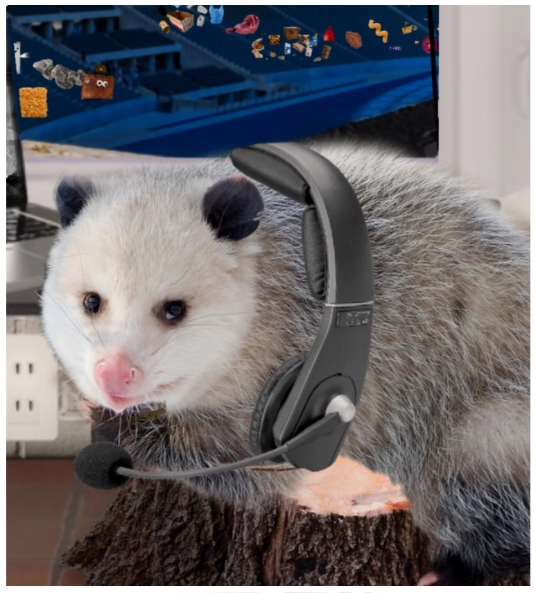 Joe Possum | Garbage People Wiki | Fandom