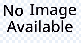 Pokémon Resonance | G-pokémon fanon Wiki | Fandom