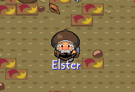 Elster | GraalClassic Wiki | Fandom