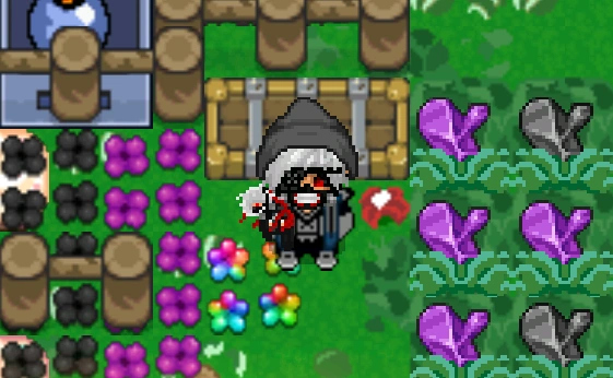 Jay Papi | GraalClassic Wiki | Fandom