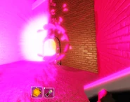 Carnation | Grace Wiki | Fandom