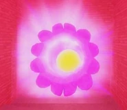 Carnation | Grace Wiki | Fandom