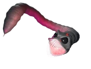 Slugfish | Grace Wiki | Fandom