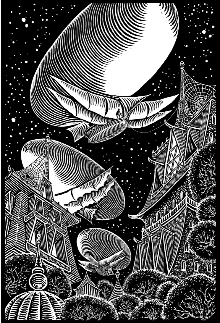 Airship | Graceling Wiki | Fandom