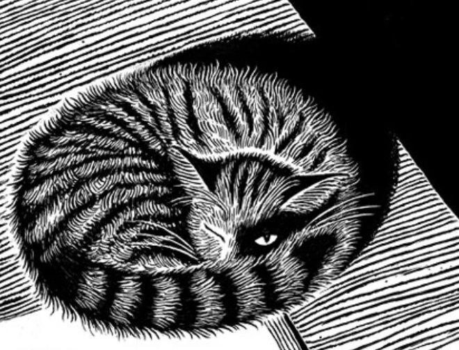 Lovejoy | Graceling Wiki | Fandom