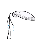 Under/Gallery | GradeAUnderA Wikia | Fandom