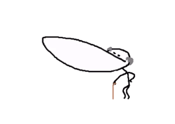 Grade | GradeAUnderA Wikia | Fandom